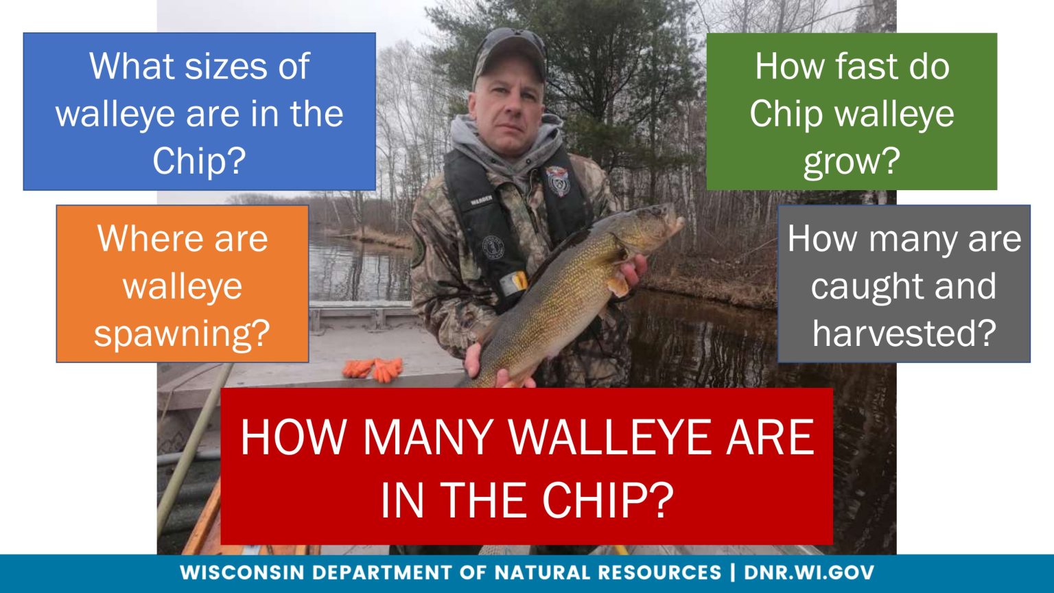 The Chippewa Flowage Fishery in 2023 - by Max Wolter - Chippewa Flowage ...